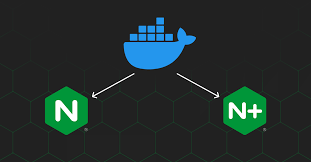 자습서-Docker와 함께 NGINX 및 NGINX Plus 배포 - NGINX STORE