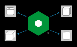 애플리케이션 격리, NGINX Unit 앱 서버 - NGINX STORE