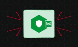 API 보안 방어 전략 - NGINX App Protect DoS편