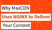 NGINX 를 통해 CDN 콘텐츠를 제공해야 하는 이유 - NGINX STORE