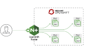 OpenShift 컨테이너 플랫폼용 NGINX 및 NGINX Plus 라우터 - NGINX STORE