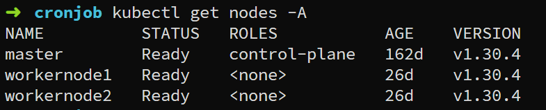 Kubernetes CronJob 을 이용한 NGINX Pod 로그 관리 - NGINX STORE