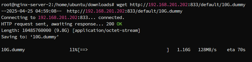 NGINX Bandwidth Limit, RateLimit 차이점 - NGINX STORE